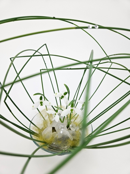 Subject: A Formal Complaint Regarding the Distinct Lack of Snowflakiness